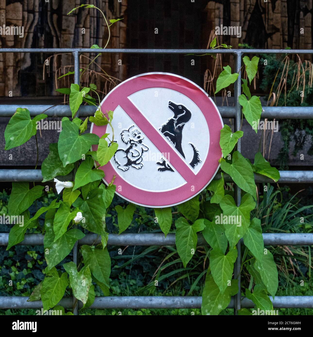 No entry for dogs hi-res stock photography and images - Alamy