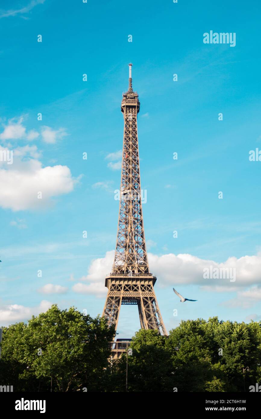 Vertical Eiffel Tower Paris Pictures