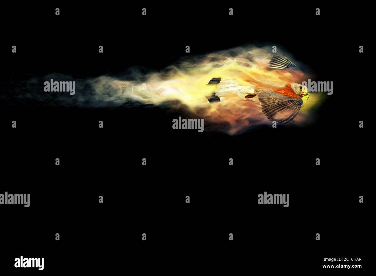 Abstract nature. Flying bird. Dispersion effect. Black background Stock ...