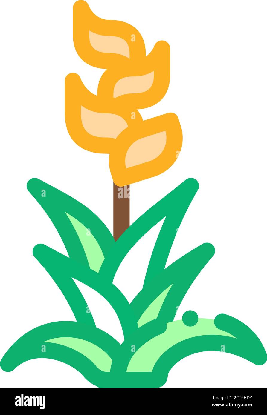 exotic flower icon vector outline symbol illustration Stock Vector ...