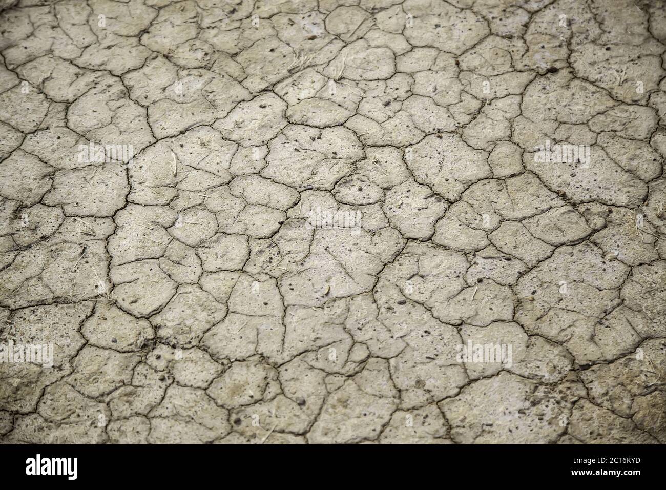 detail of climate change, destruction and heat, destruction of the ...