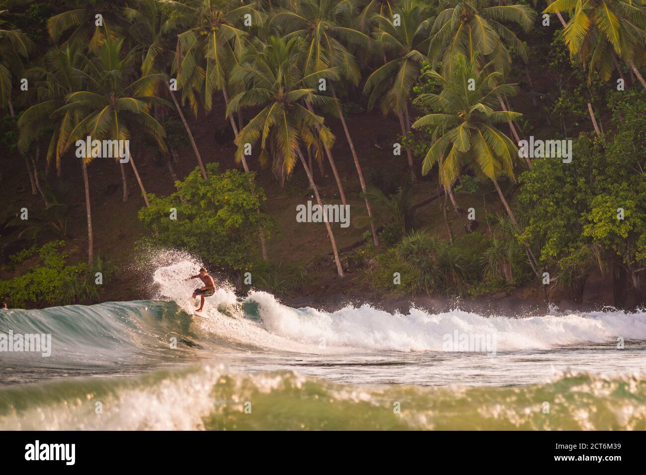Mirissa Beach, surfer surfing at sunset, South Coast of Sri Lanka ...