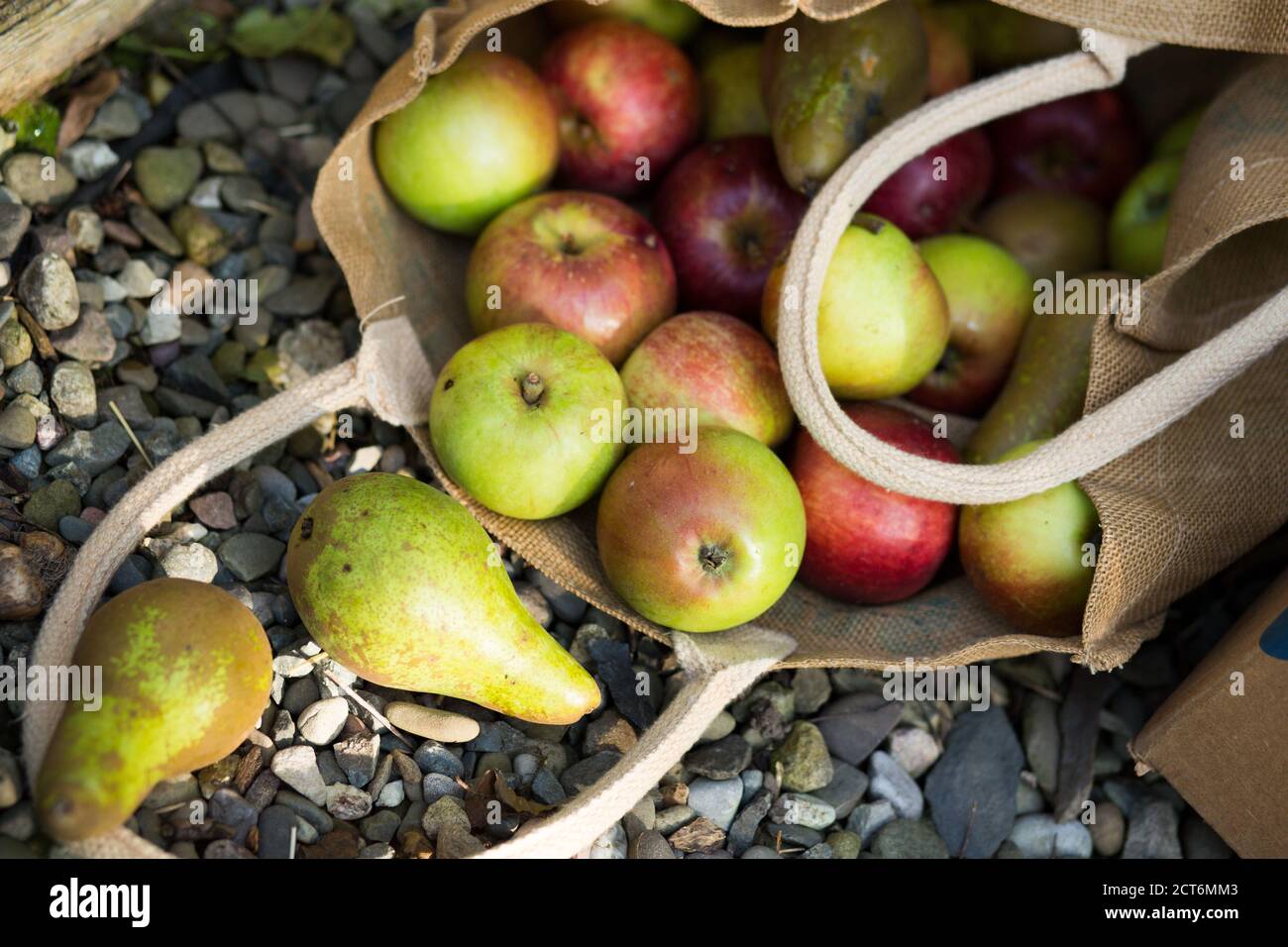 Traditional Cider made by hand Stock Photo - Alamy