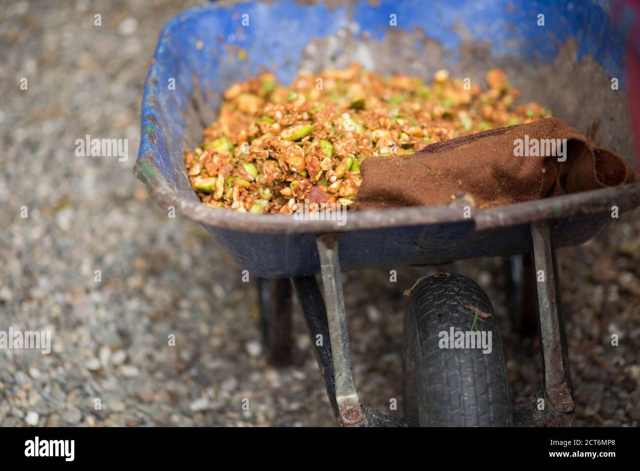 Traditional Cider made by hand Stock Photo - Alamy