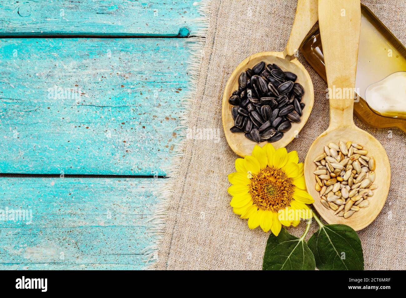 Whole and peeled sunflower seeds, sea salt and oil with head flower in ...