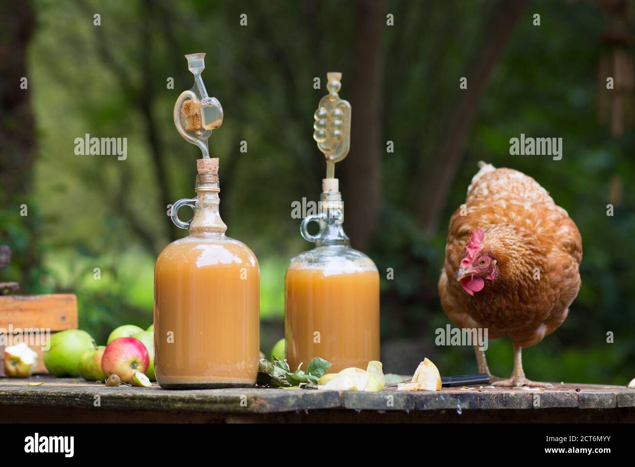 Traditional Cider made by hand Stock Photo - Alamy