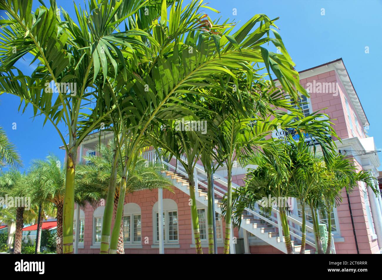 Palm tree lined streets in Nassau, Bahamas Stock Photo - Alamy
