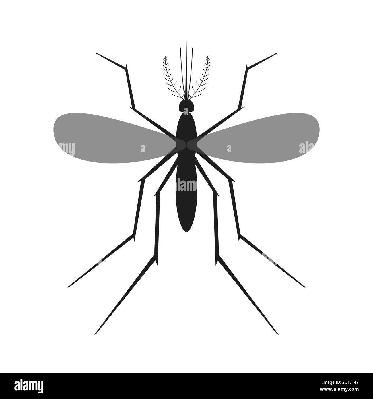 Mosquitoe vector vectors Black and White Stock Photos & Images - Alamy