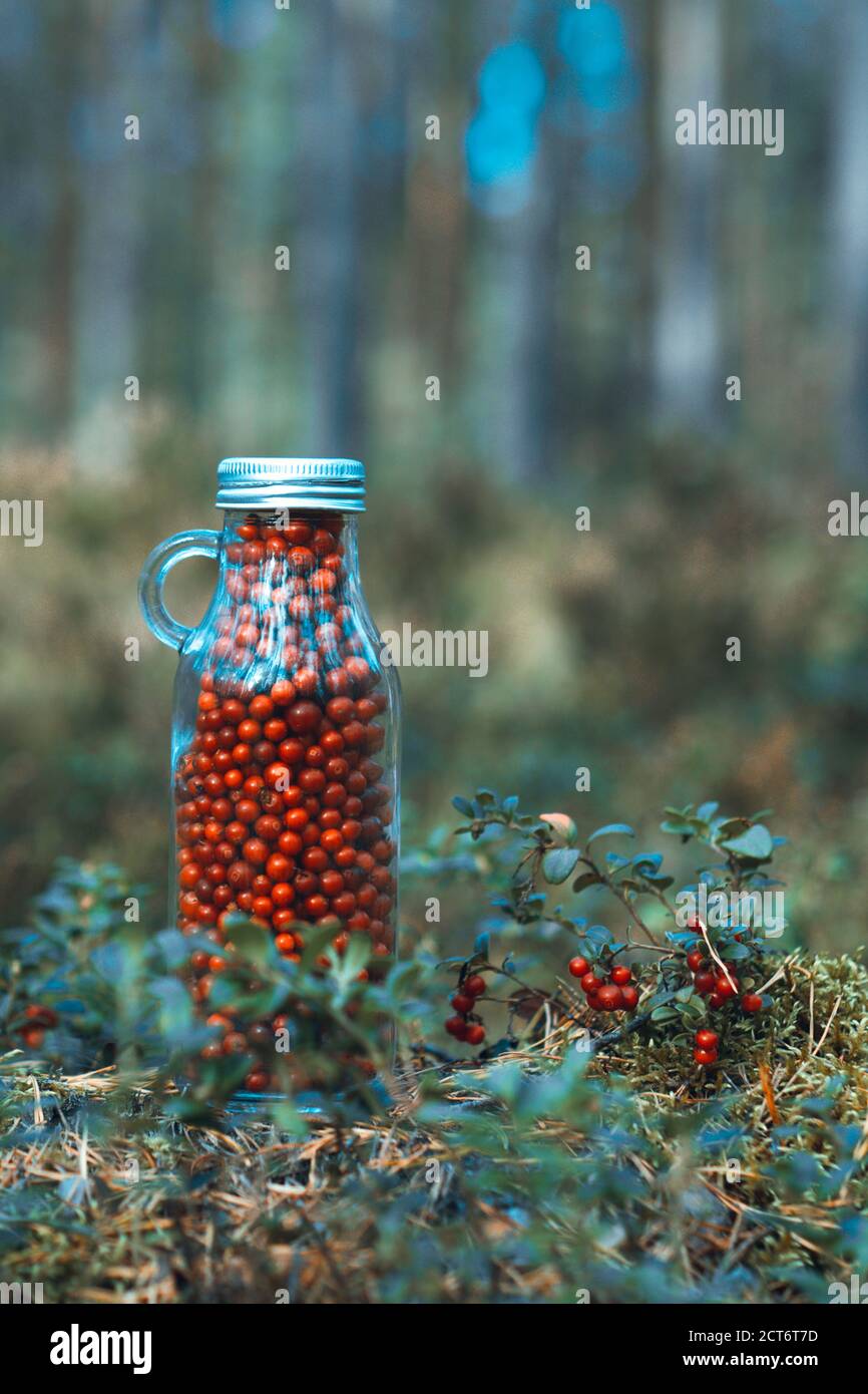 Desert berries hi-res stock photography and images - Alamy
