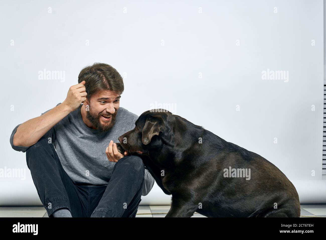 happy owner with pet black dog training model emotions Stock Photo - Alamy
