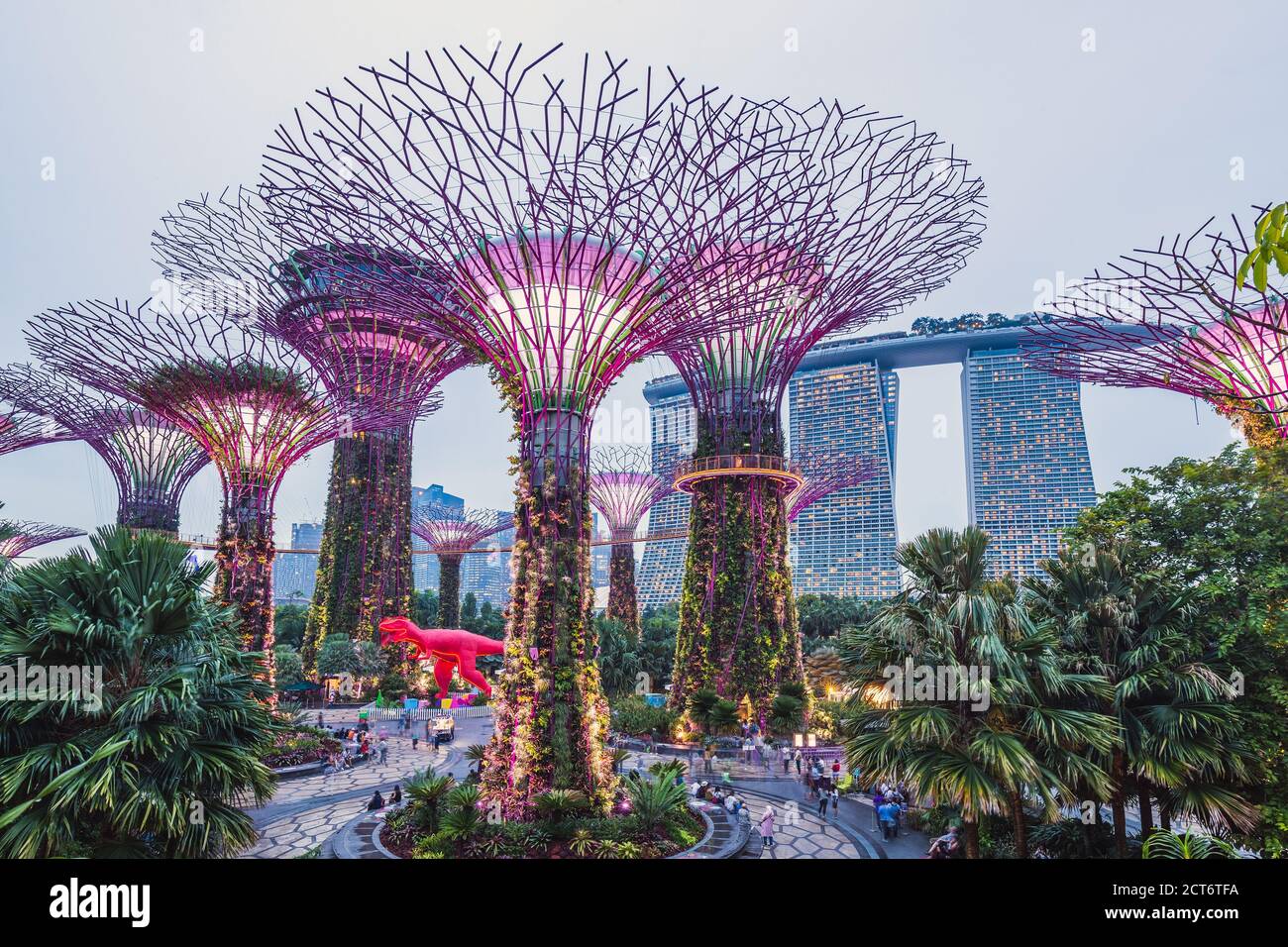 Night view of The Supertree Grove at Gardens by the Bay on Singapore ...
