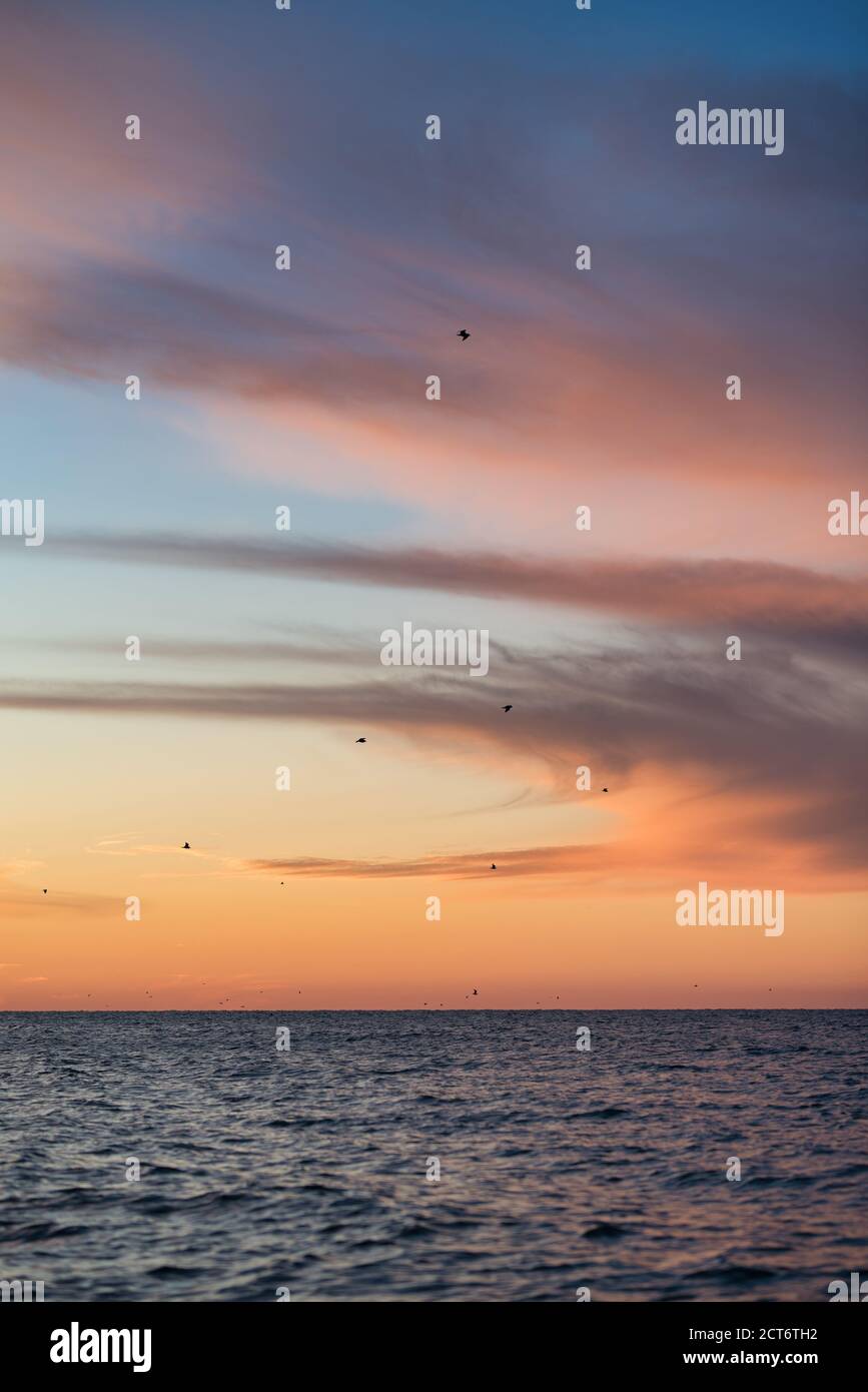 Sunset in summer on lake erie Stock Photo - Alamy