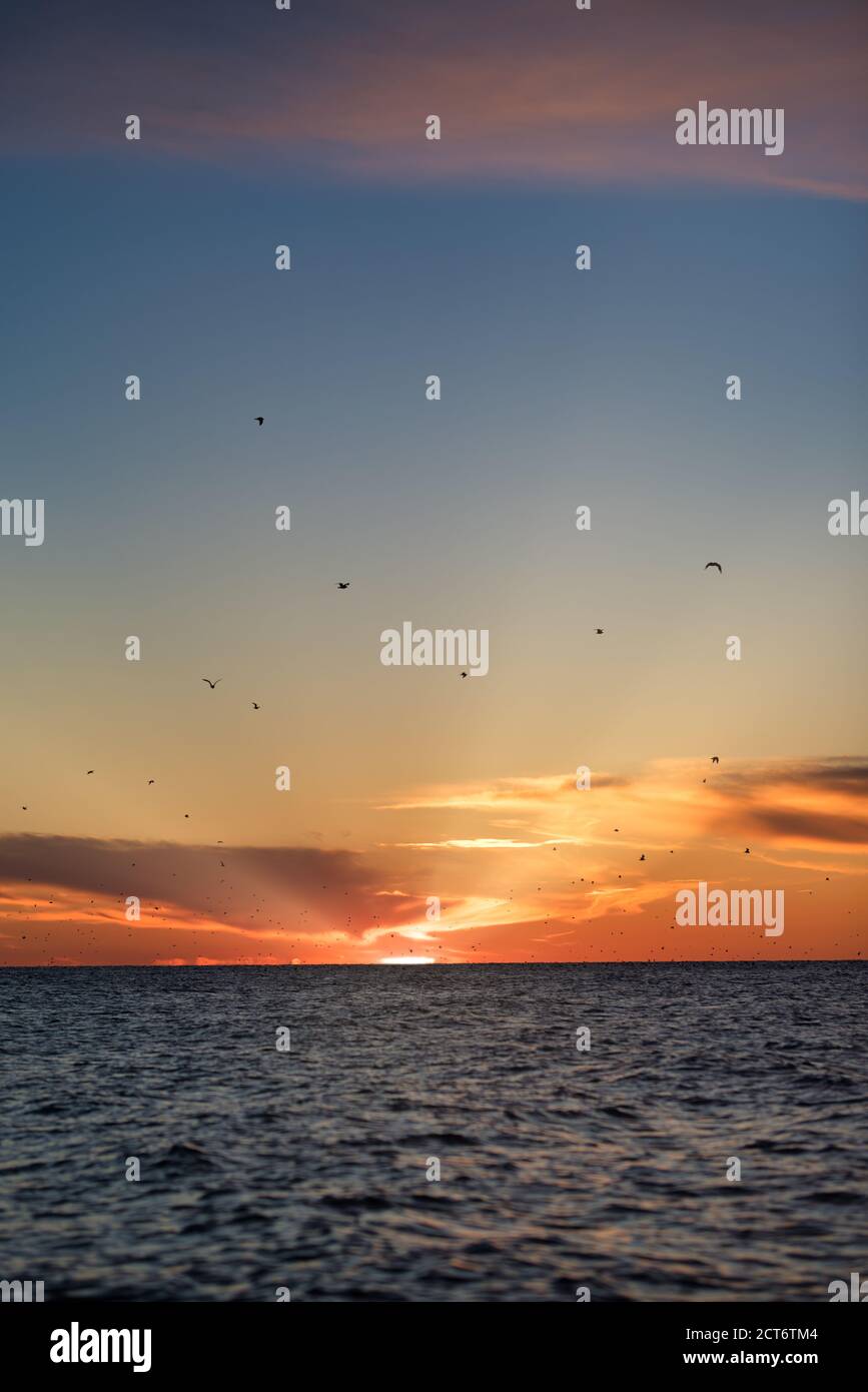 Sunset in summer on lake erie Stock Photo - Alamy