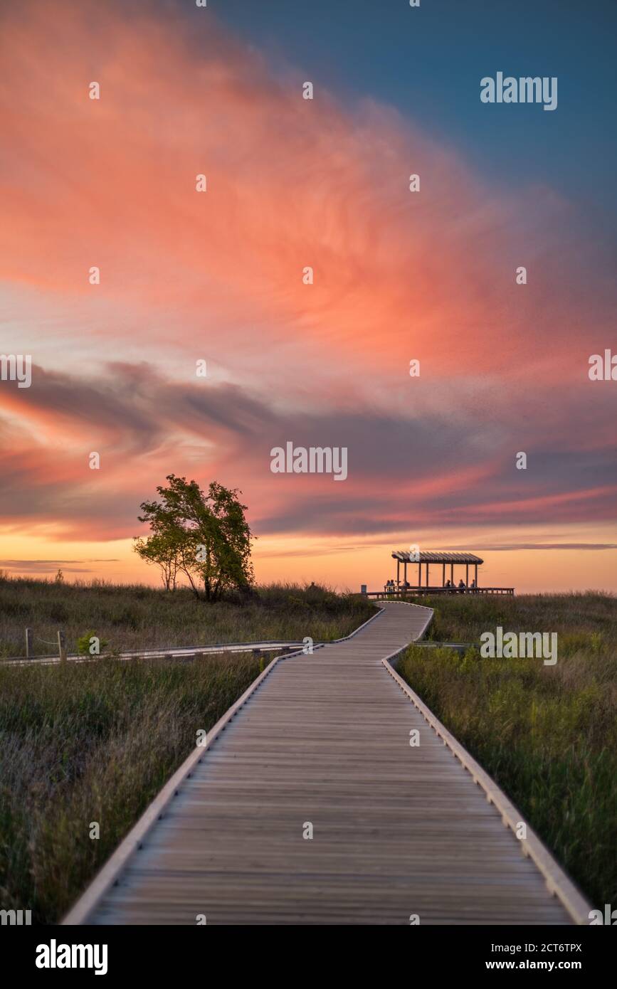 Headlands Beach State Park marsh walkway at sunset Stock Photo - Alamy