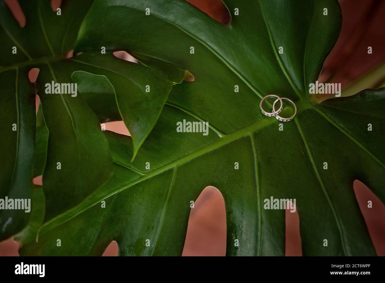Composition two wedding rings hi-res stock photography and images - Alamy