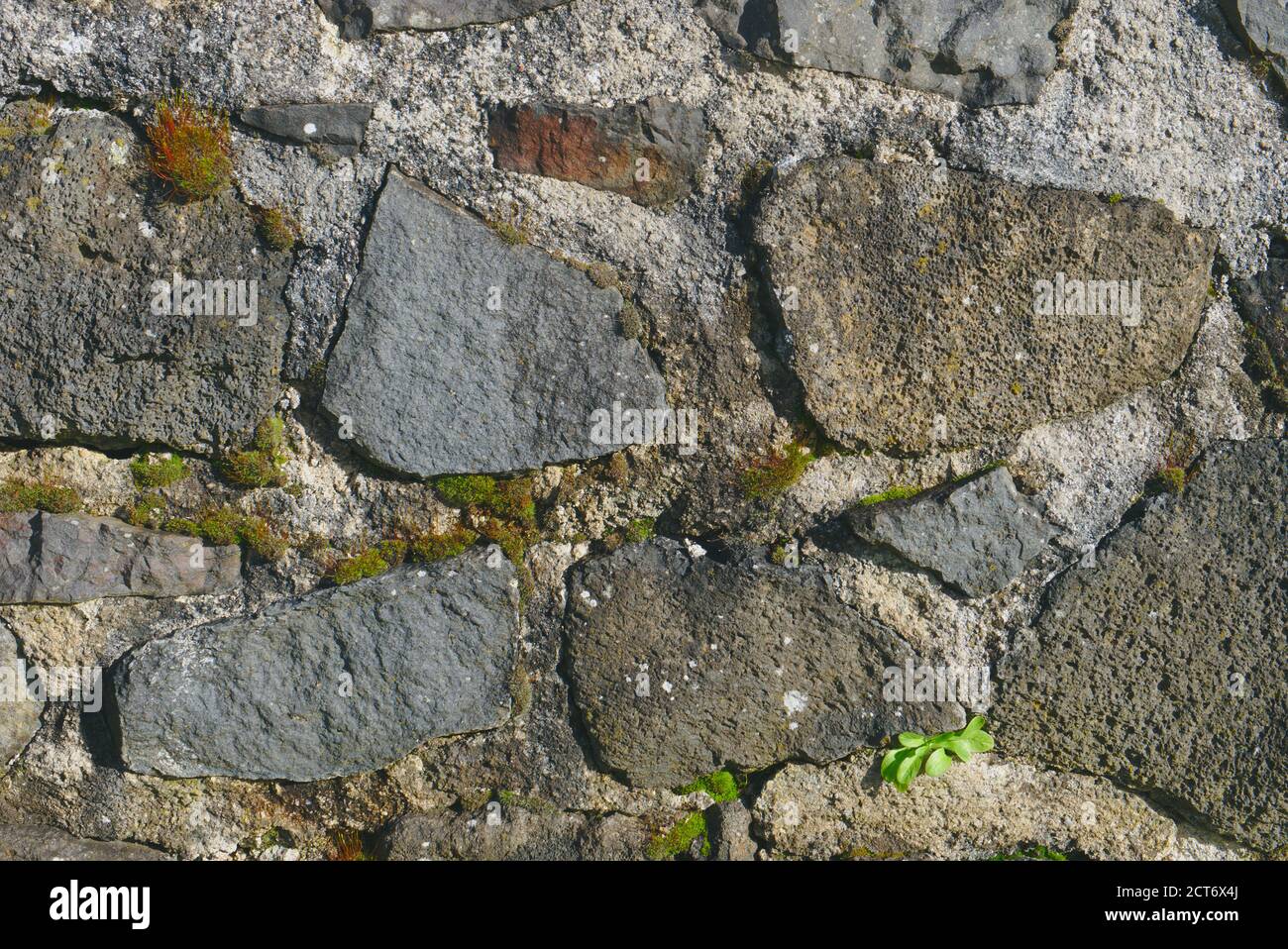 Traditional Auvergnat volcanic stone wall close up Stock Photo - Alamy