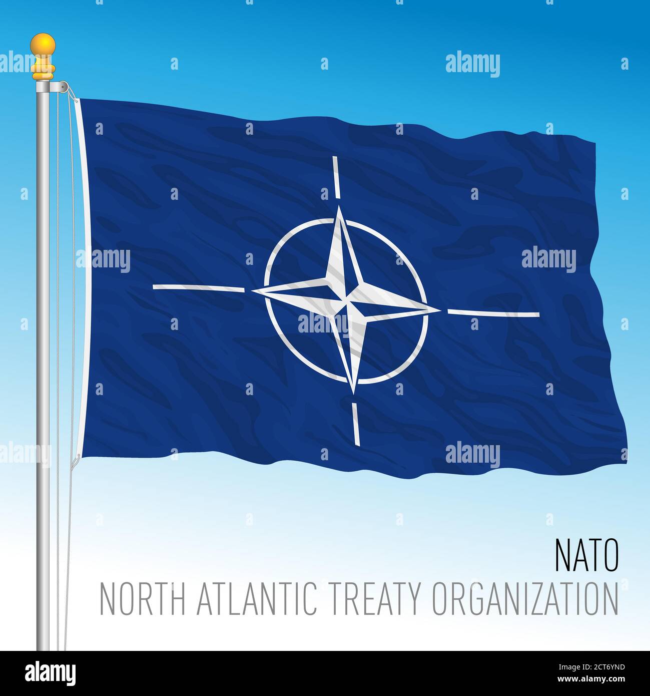 NATO, North Atlantic Treaty Organization official flag, vector ...