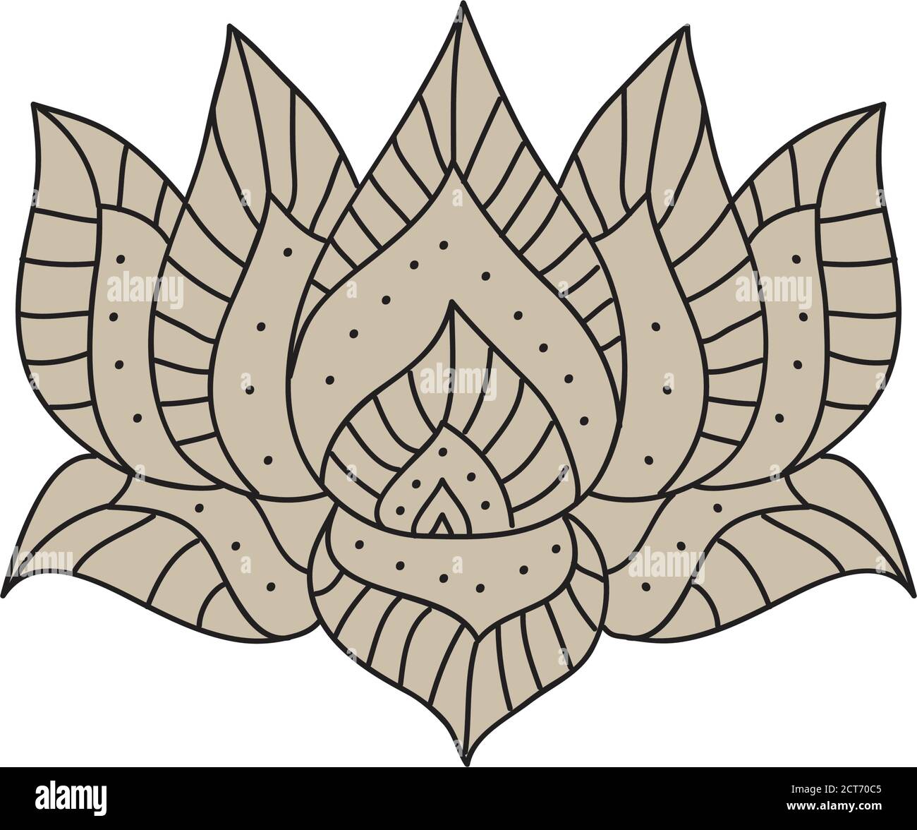lotus flower, vector Stock Vector Image & Art - Alamy