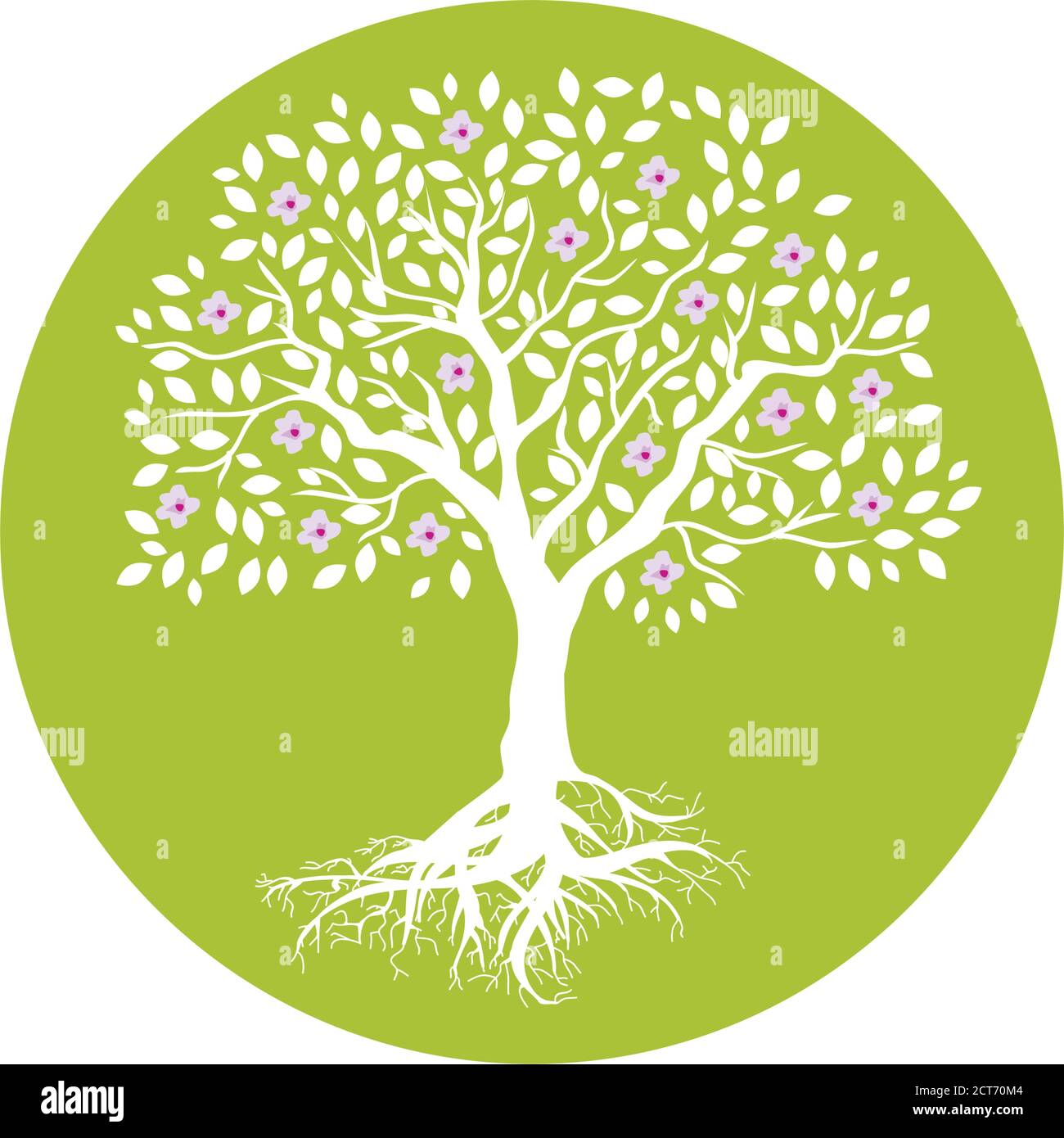 cherry blossom tree Stock Vector Image & Art - Alamy