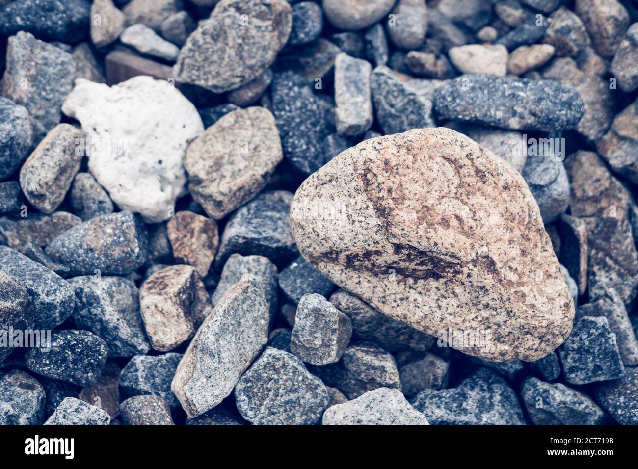 Small and big smooth round pebbles, sea dry stones, multicolour gray ...