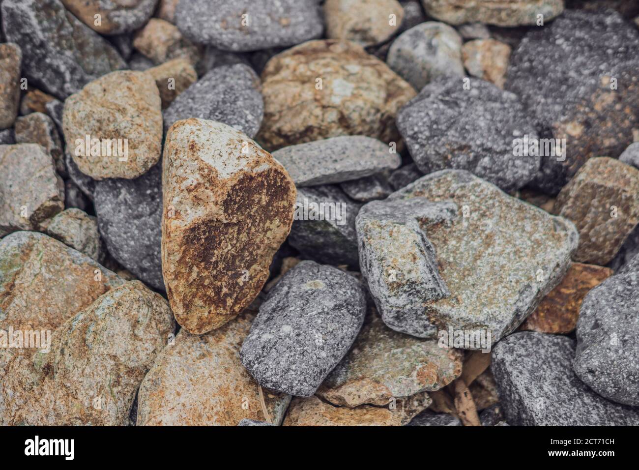 Small and big smooth round pebbles, sea dry stones, multicolour gray ...