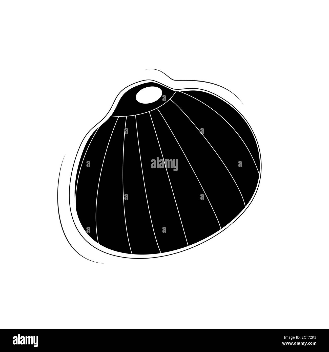 Black sea shell icon vector illustration isolated on white background ...