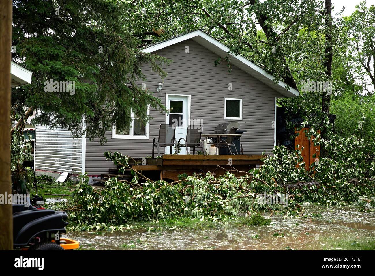 Back yard destruction from fallen trees and hail during a summer storm ...