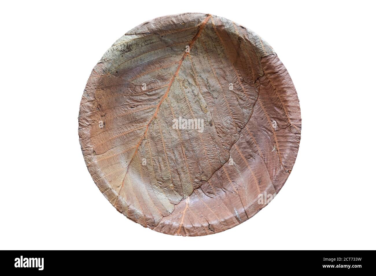 Leaf plates hi-res stock photography and images - Alamy