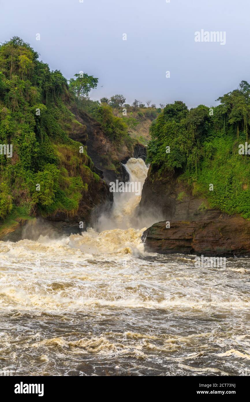 The Murchison waterfall on the Victoria Nile, Uganda Stock Photo - Alamy