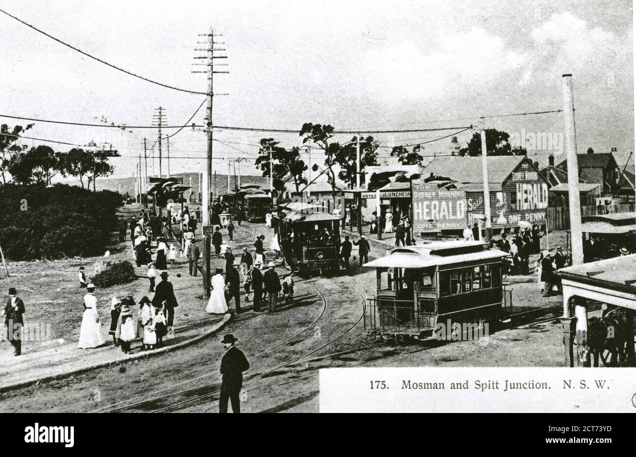 Sydney trams old hi-res stock photography and images - Alamy