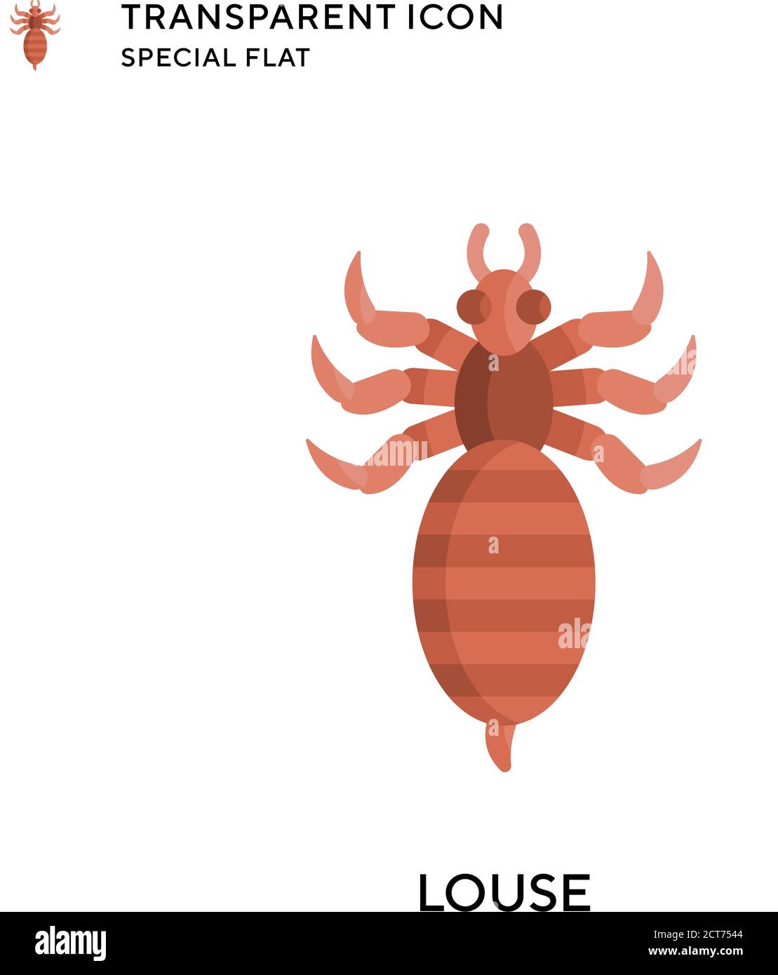 Head lice eggs hi-res stock photography and images - Alamy