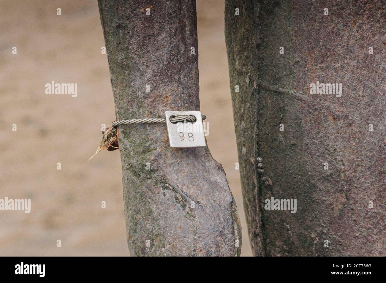 Art installation Another Place by Sir Antony Gormley at Mariners Road ...