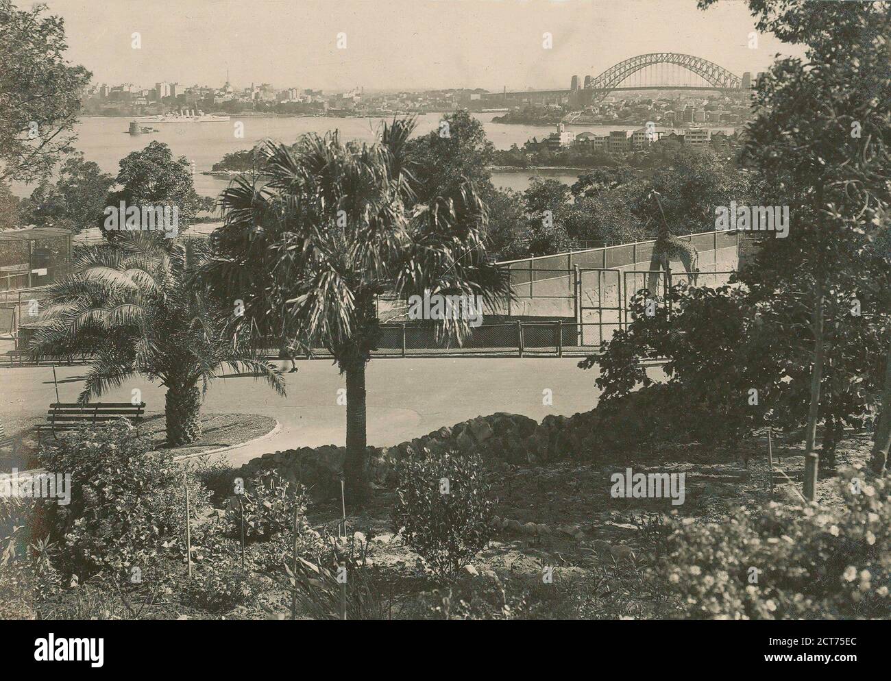 Taronga park hi-res stock photography and images - Alamy