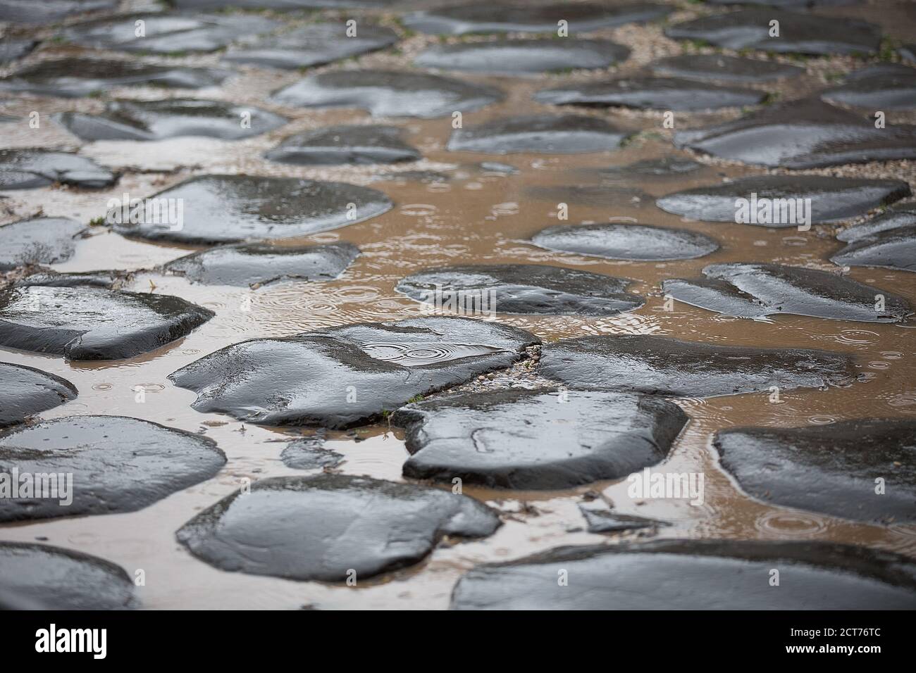 Ancient cobbled path Via Sacra. One of the oldest roads in Rome ...