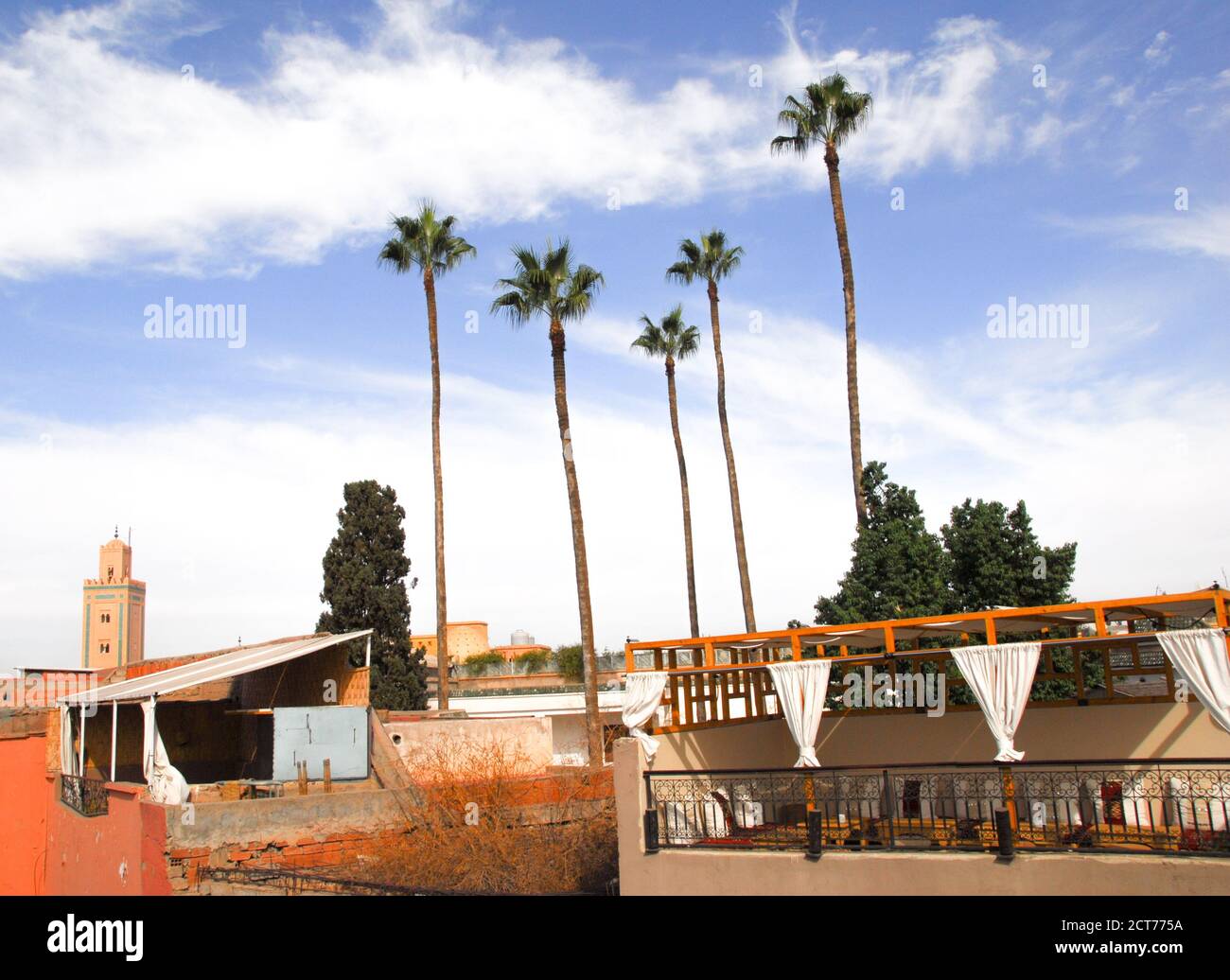 Moroccan palm trees hi-res stock photography and images - Alamy