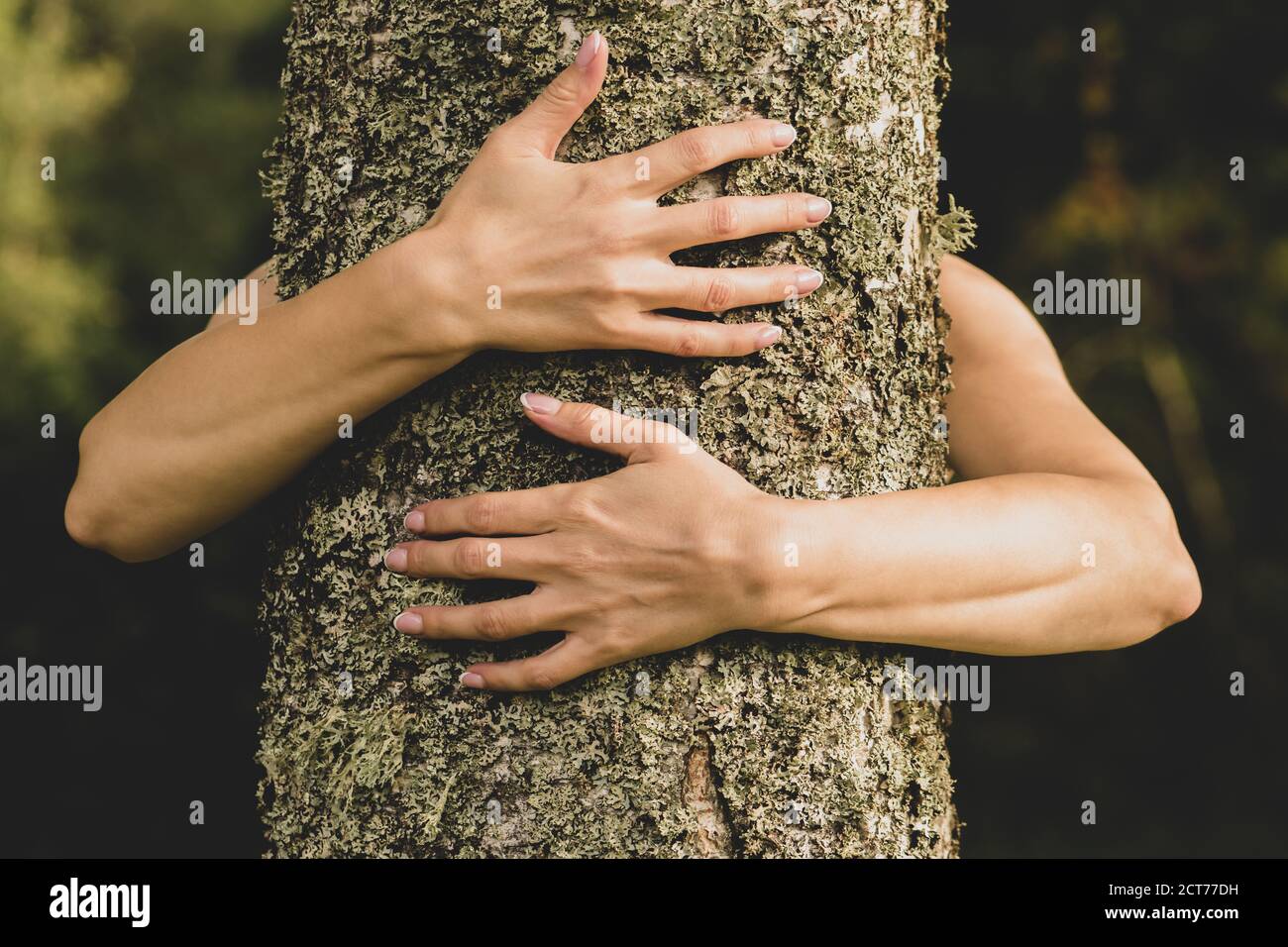 Human and nature concept. Woman hands hugging birch tree in dark ...