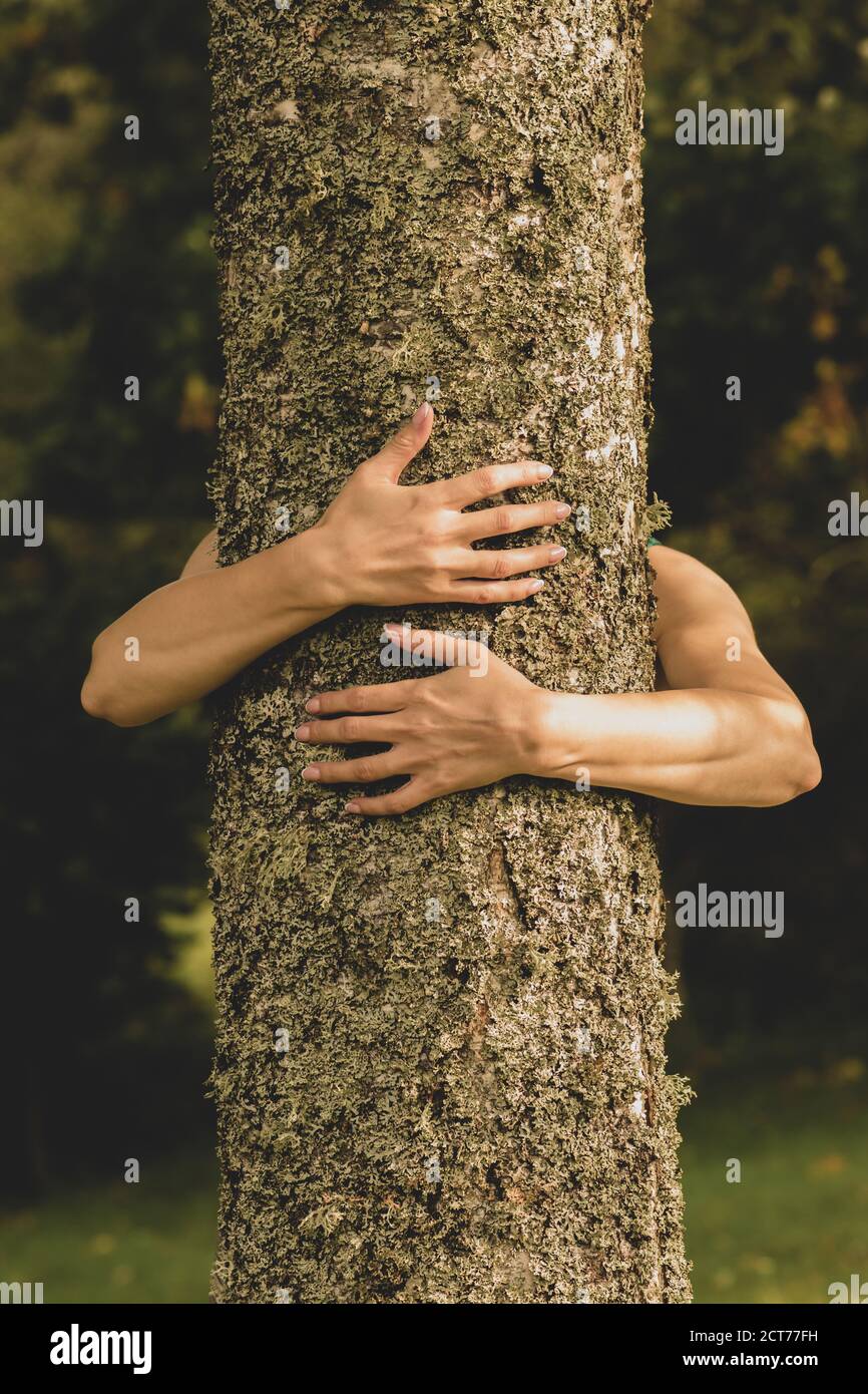 Human and nature concept. Woman hands hugging birch tree in dark ...