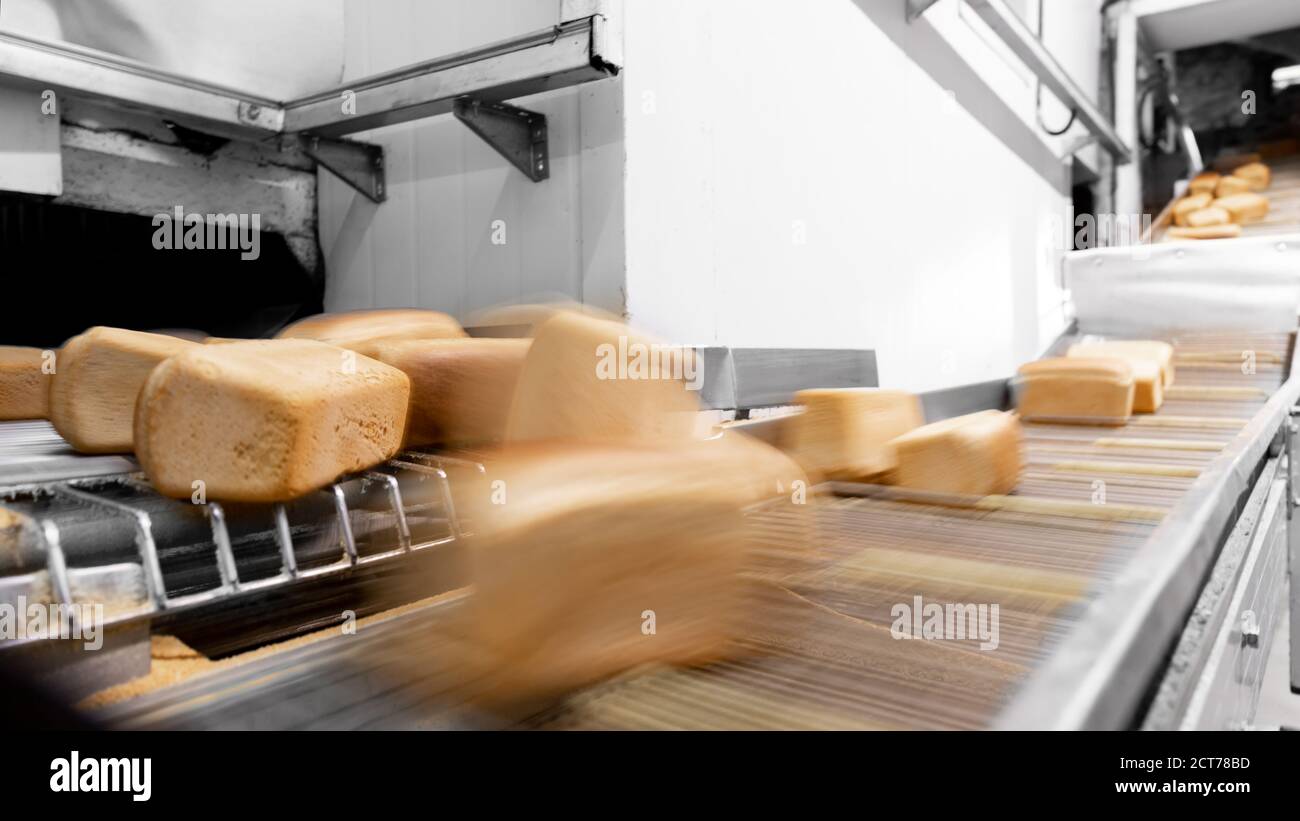 Baked breads on automatic production line bakery from hot oven Stock ...
