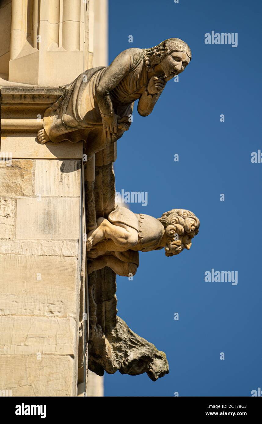 New and old gargoyles on York Minster, York, UK. Restored stonework ...