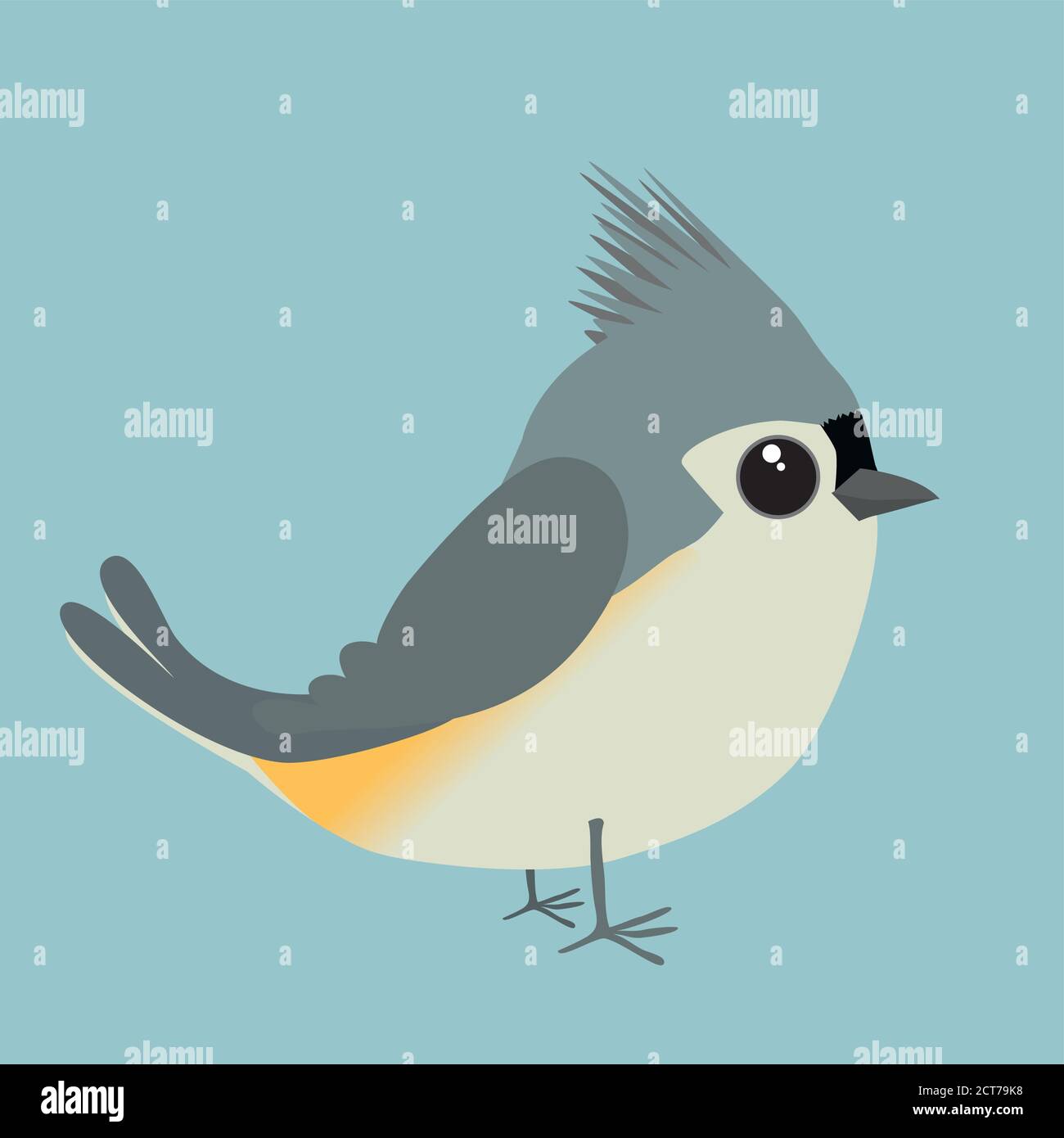 Titmouse bird songbird birds Stock Vector Images - Alamy