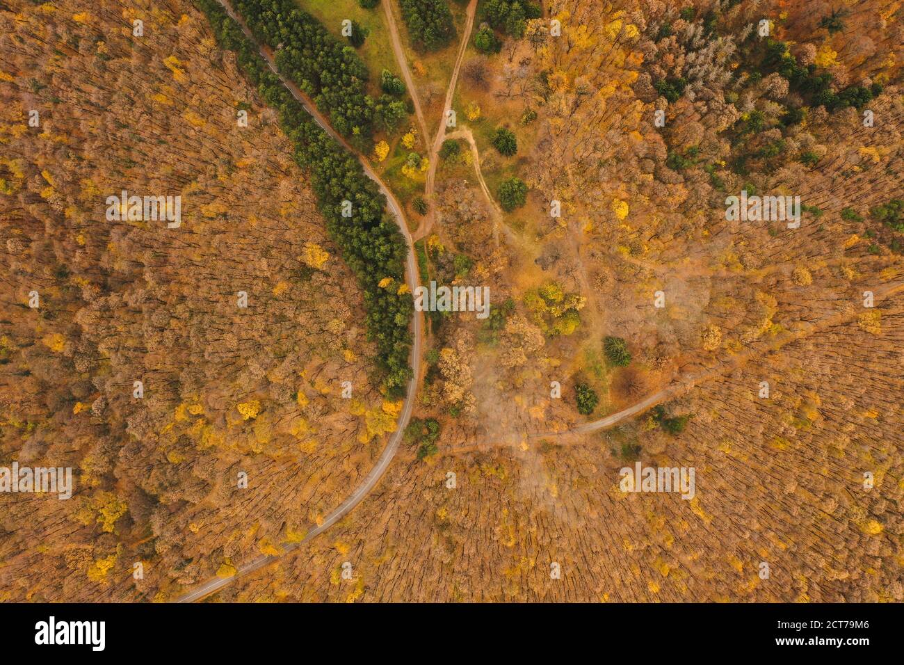Aerial view of beautiful autumn forest road Stock Photo - Alamy
