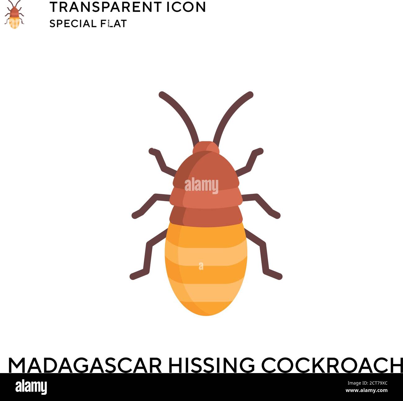 Madagascar hissing cockroach insect Stock Vector Images - Alamy