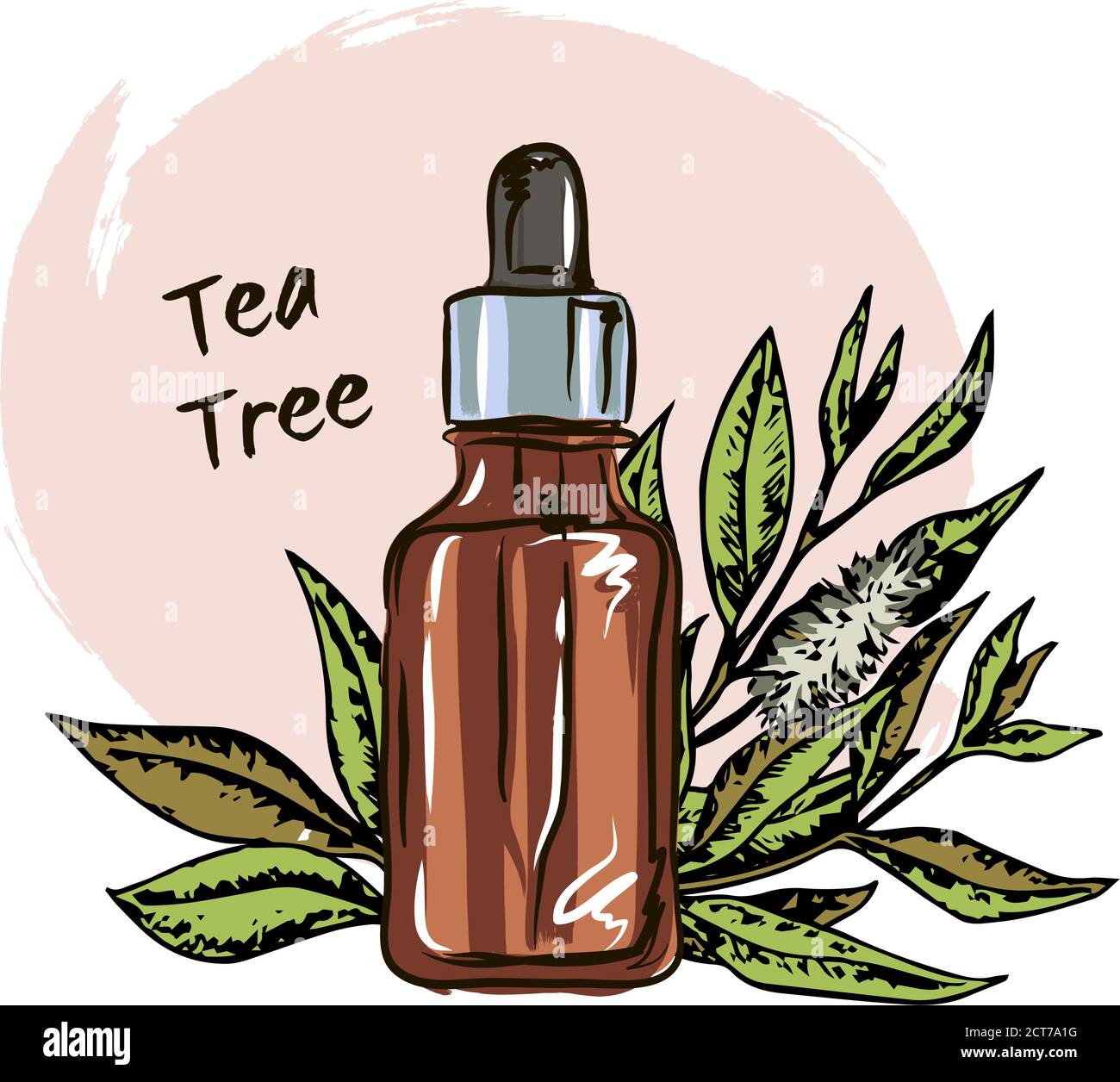 Hand drawn essential oil from tea tree medicinal plant with a glass ...