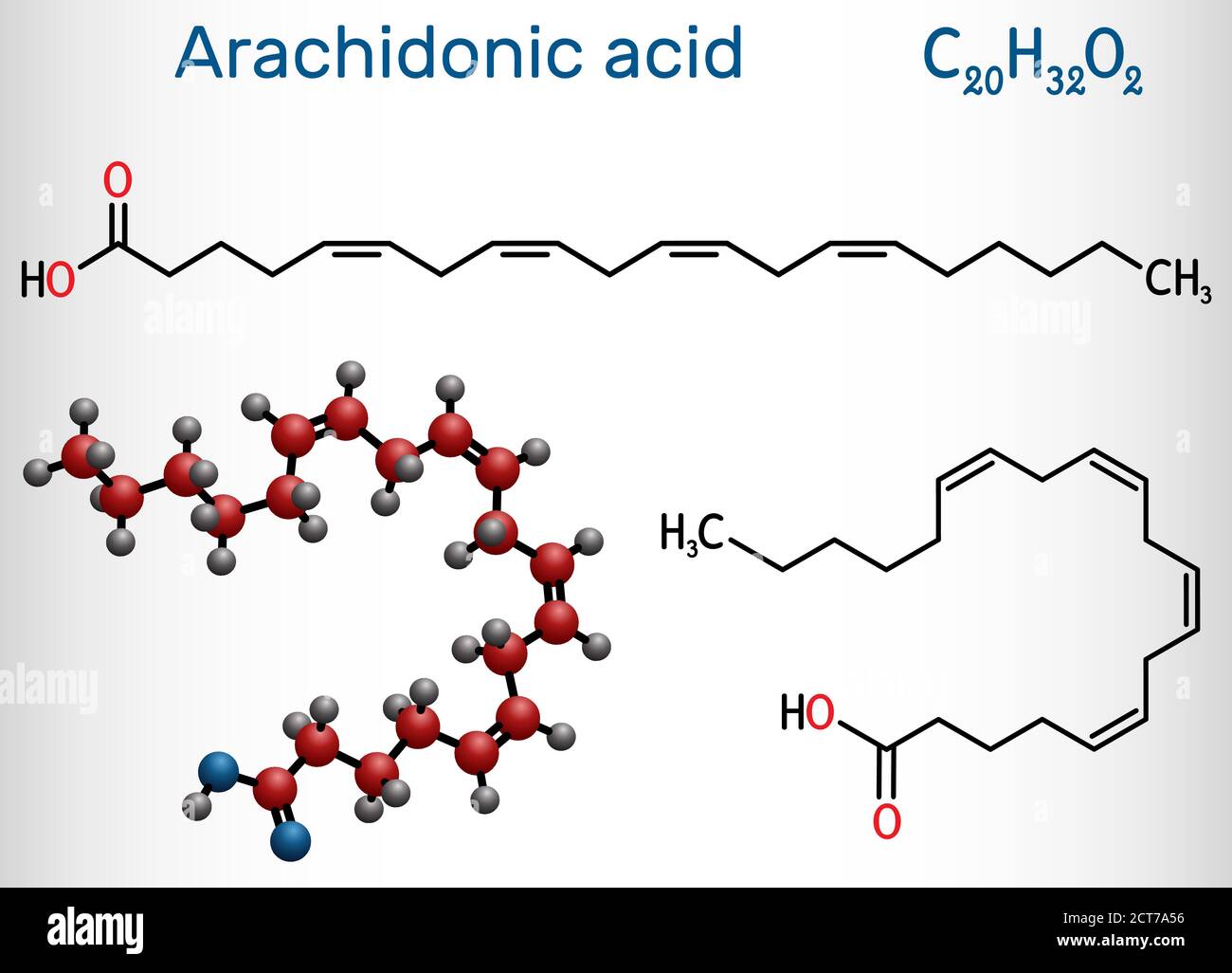 Arachidonic acid, AA, ARA molecule. It is unsaturated omega-6 fatty ...