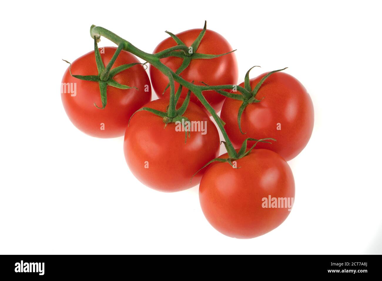 Five red tomatoes on a green branch on a white background in isolation ...