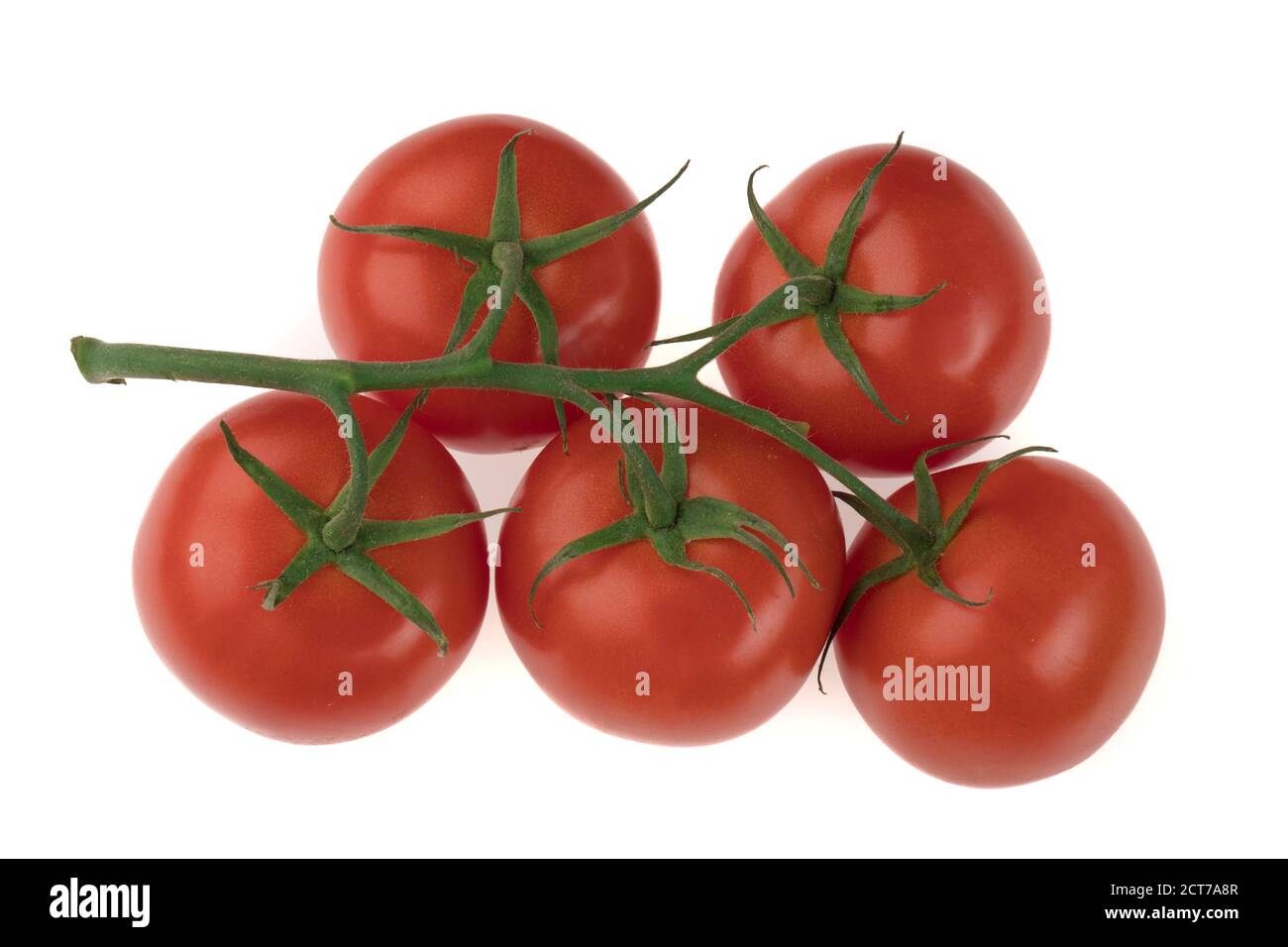 Five red tomatoes on a green branch on a white background in isolation ...