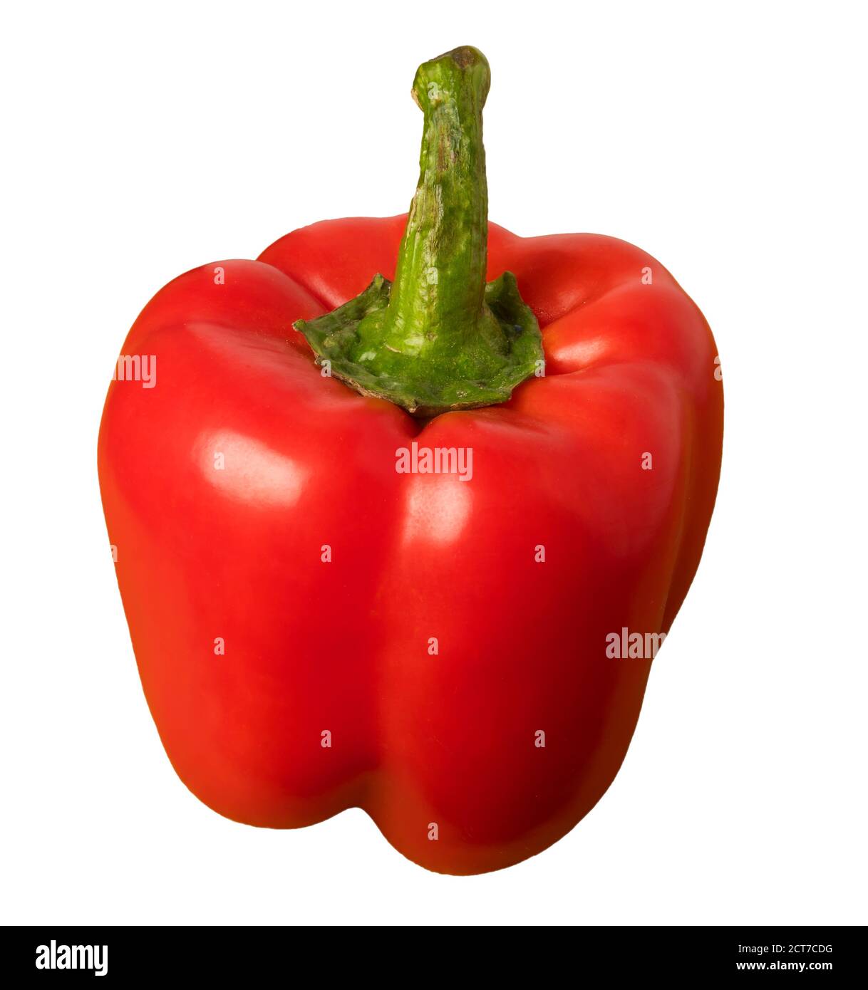 One whole red bell pepper on a white background in isolation Stock ...