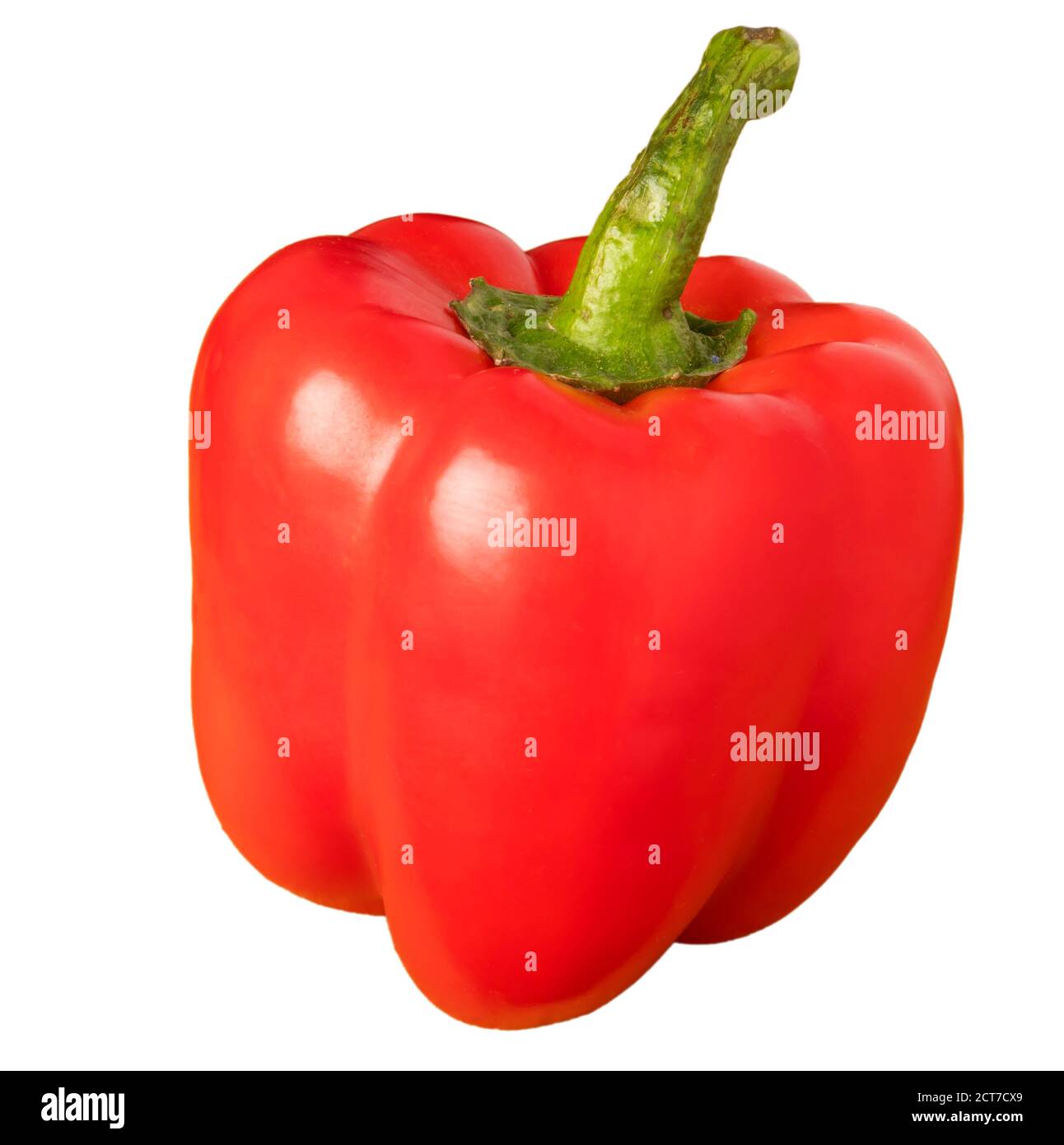 One whole red bell pepper on a white background in isolation Stock ...