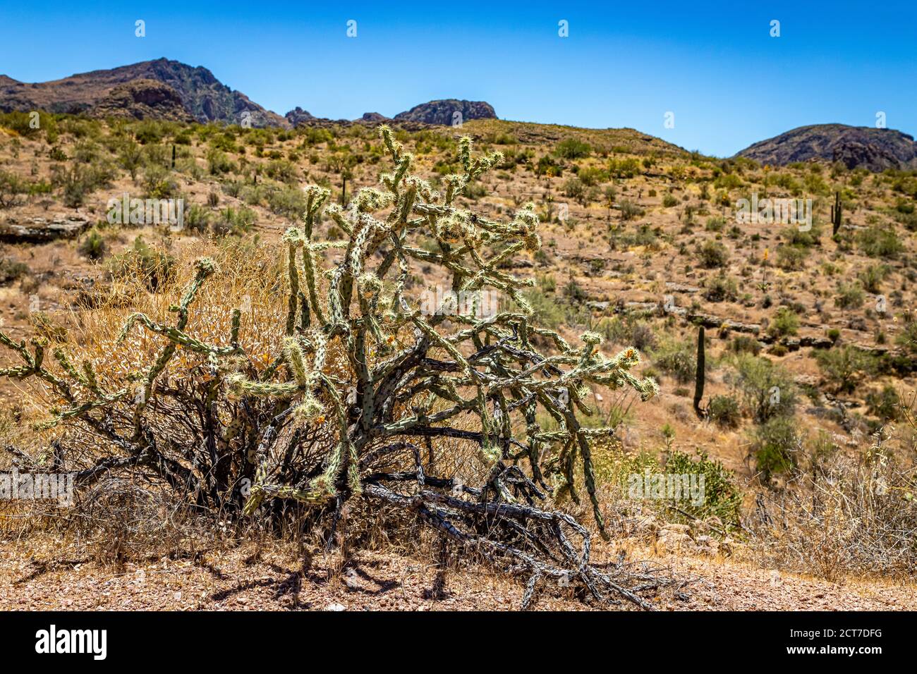Apache Trail Scenic Drive Stock Photo - Alamy