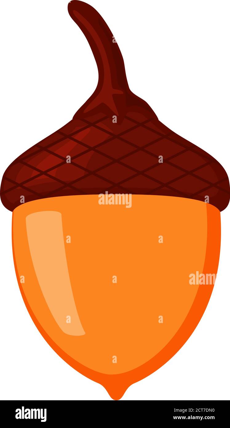 Cartoon colorful acorn Stock Vector Image & Art - Alamy